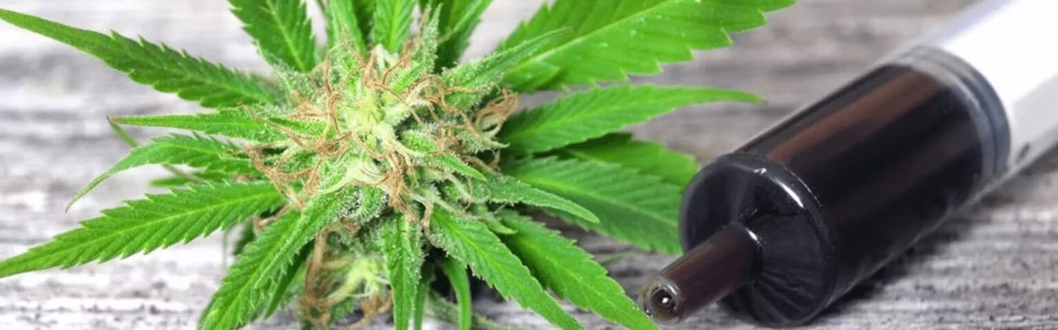 Limonene Terpene Effects A Guide to Mood and Relief